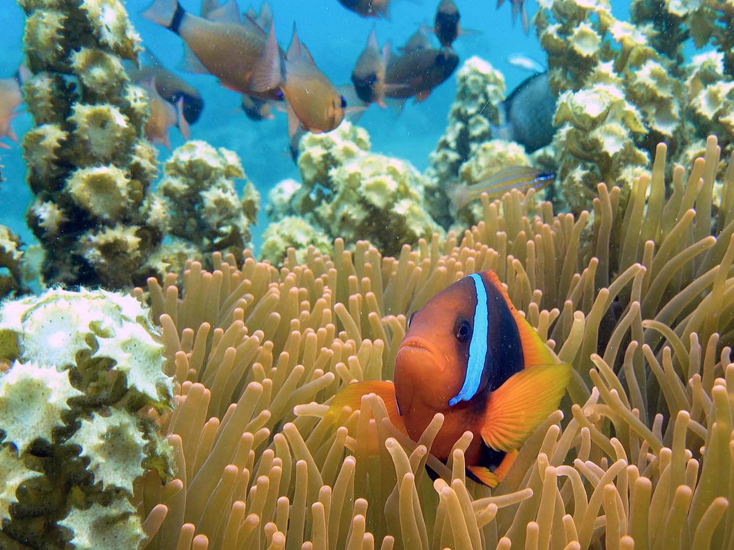 Featured Customers | Paul Ranky Innovation, Education, and Underwater