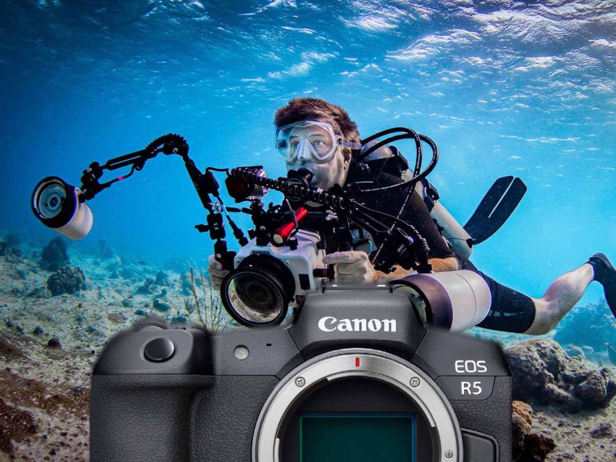 Canon R5 Underwater A-Z // Best Canon RF Lenses for Underwater [VIDEO]