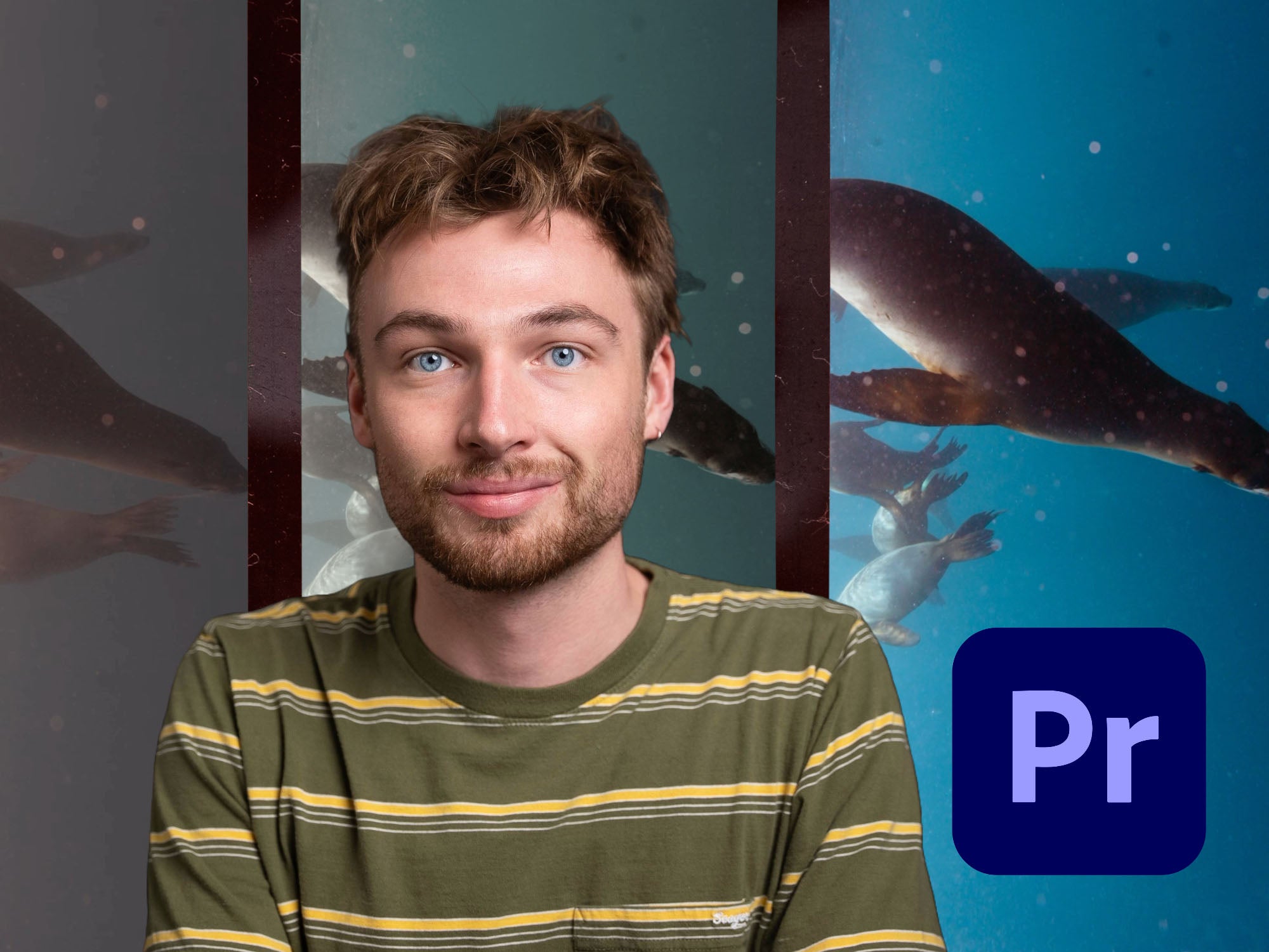 Color Grading S-Log 3 Sea Lion Footage in Adobe Premiere [VIDEO]