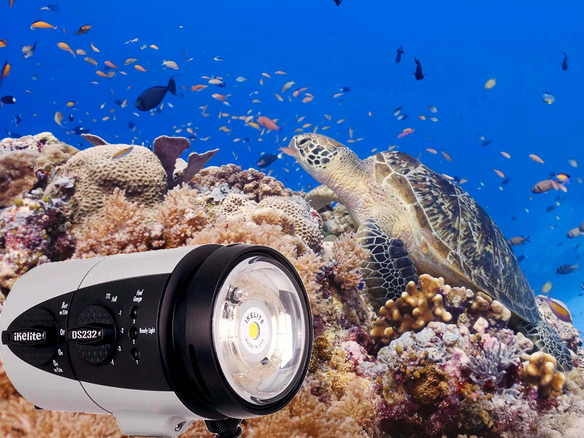 DS232 Strobe + Video Light Hybrid Flash Underwater in the Philippines