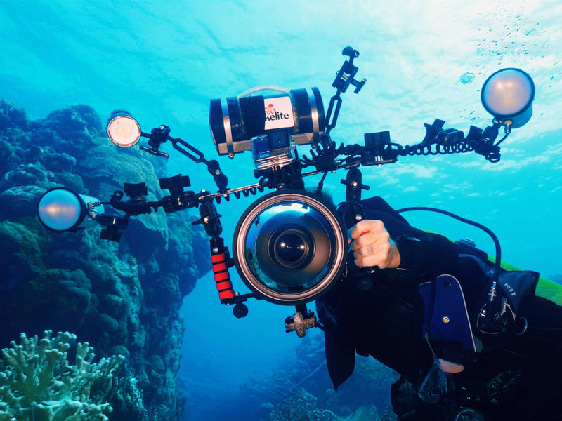 My Micronesian Ikelite System for Canon R5 // David Fleetham's Underwa