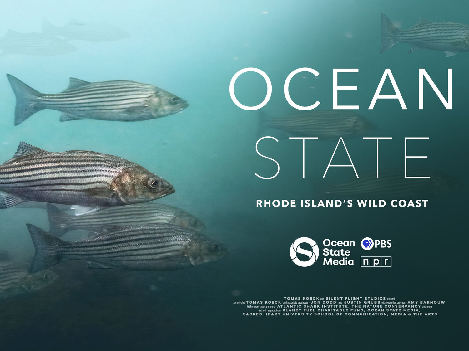 New Underwater Docuseries on PBS Explores Rhode Island's "Wild Coast"