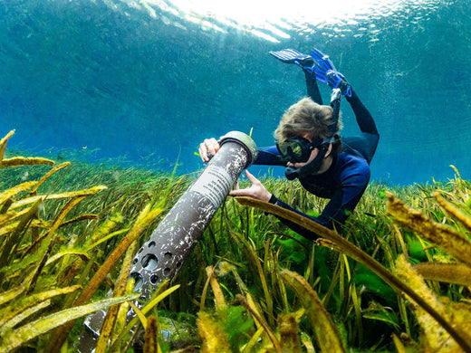 From Research to Outreach: Underwater Photography as a Tool for Scienc