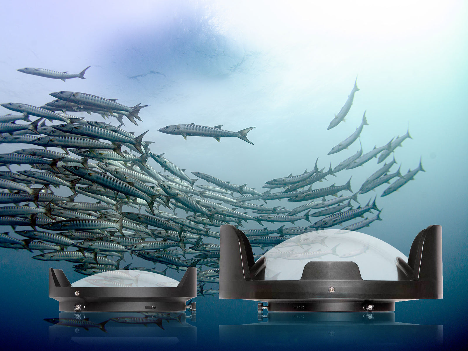 The Right Lens for Every Situation Underwater