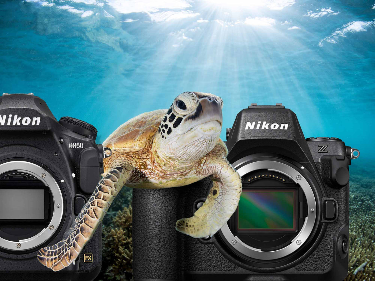 Major UPGRADE // A Comparative Review of the Nikon D850 vs Z8 for Unde