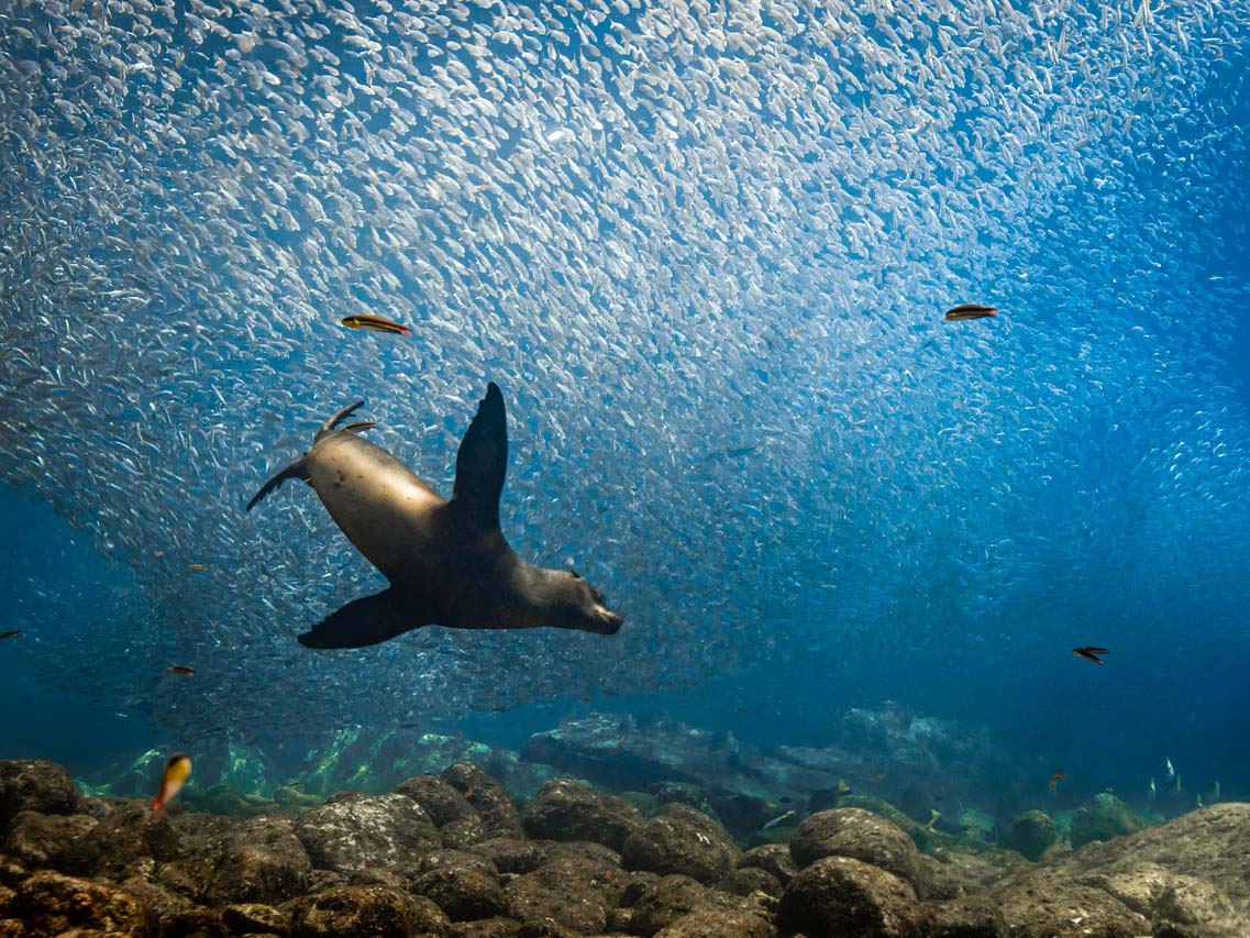 Featured Customers | Kevin Drew Davis Deep Down a Family