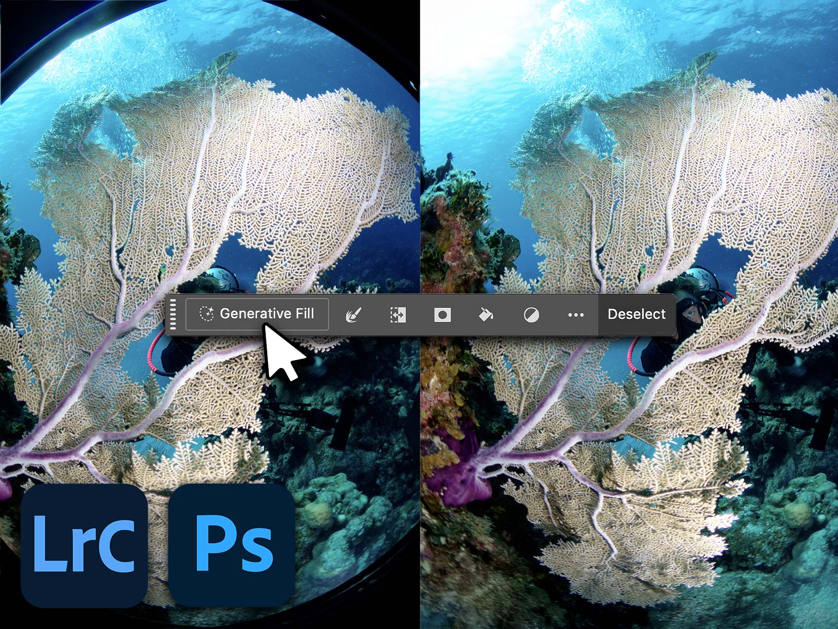 How to Quickly Remove Vignetting in Underwater Photos Using Lightroom