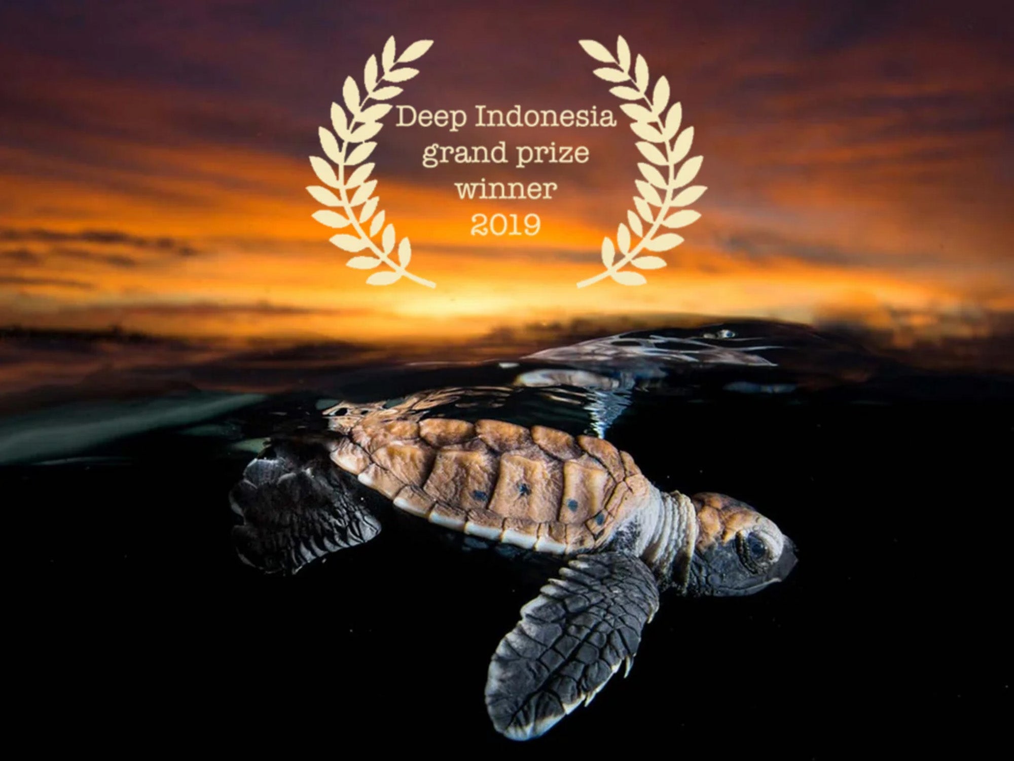Tips on Entering a Photo Contest