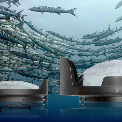 Snell's Window: A Wide Angle Photography Effect