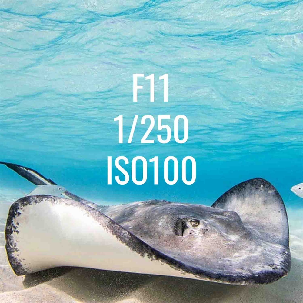 Snell's Window: A Wide Angle Photography Effect